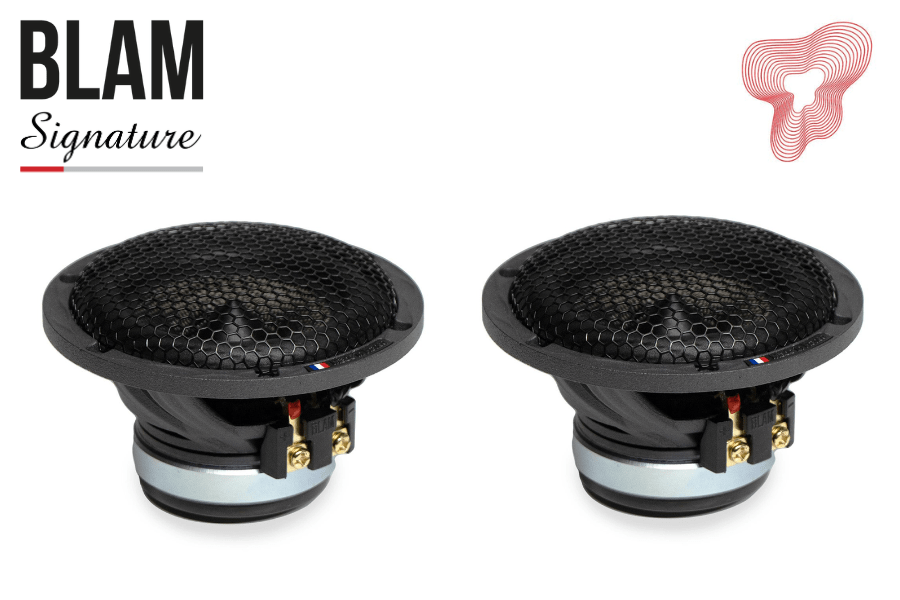 Blam Car Speakers